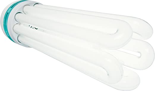 Agrobrite Compact Fluorescent Lamp - 125W, 6500K – GrowGoods