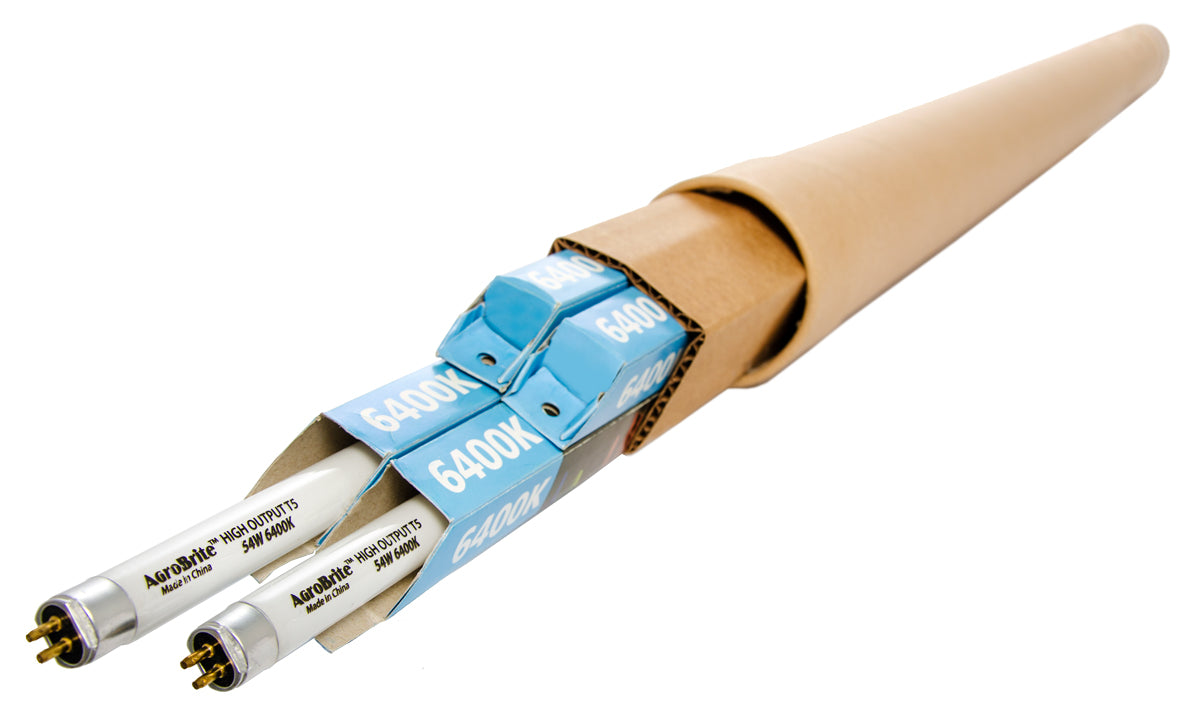 Agrobrite T5 Replacement Tubes - 6400K – GrowGoods