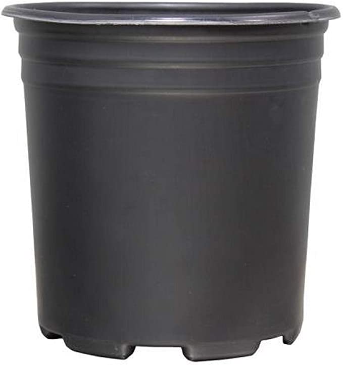 Thermoformed Nursery Pot 1 Gallon - Black – GrowGoods