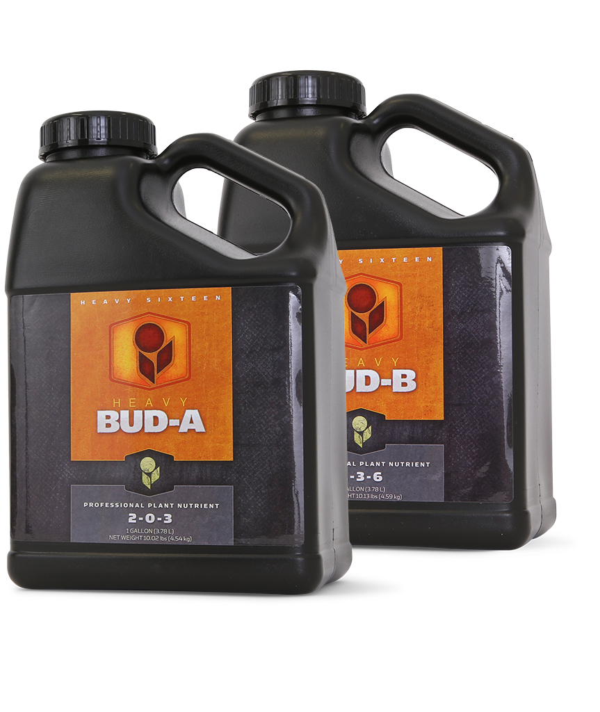 Heavy 16 Bud A & B Plant Nutrient Set – GrowGoods
